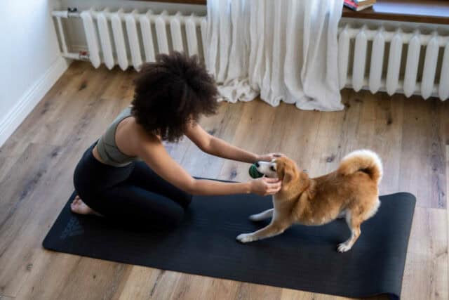 12 Animal Exercises - A Workout Routine Inspired by the Animal Kingdom ...